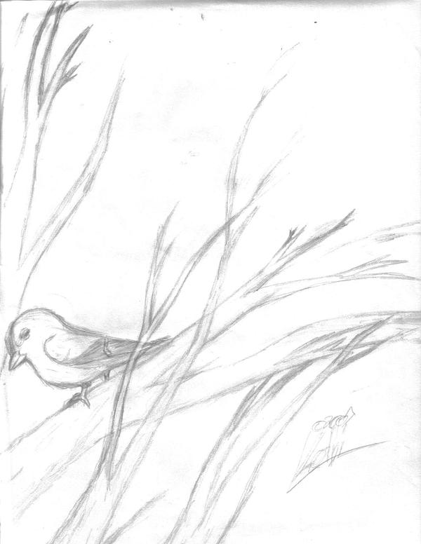 Gold Finch- Lineart by Rainbow-Lollipop on DeviantArt