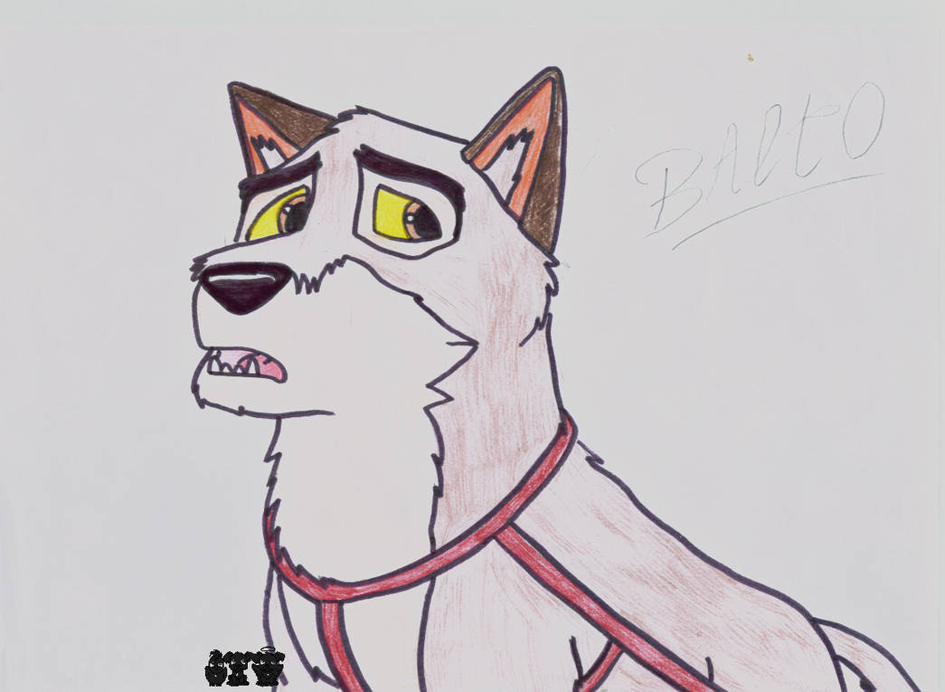 Balto by OzzyRingoBrucey on DeviantArt