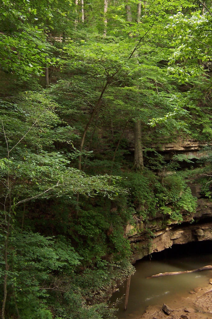 Mammoth Cave Layers by bigdavesmith on DeviantArt