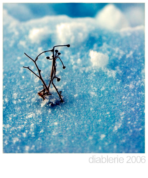 shivery by diablerie on DeviantArt