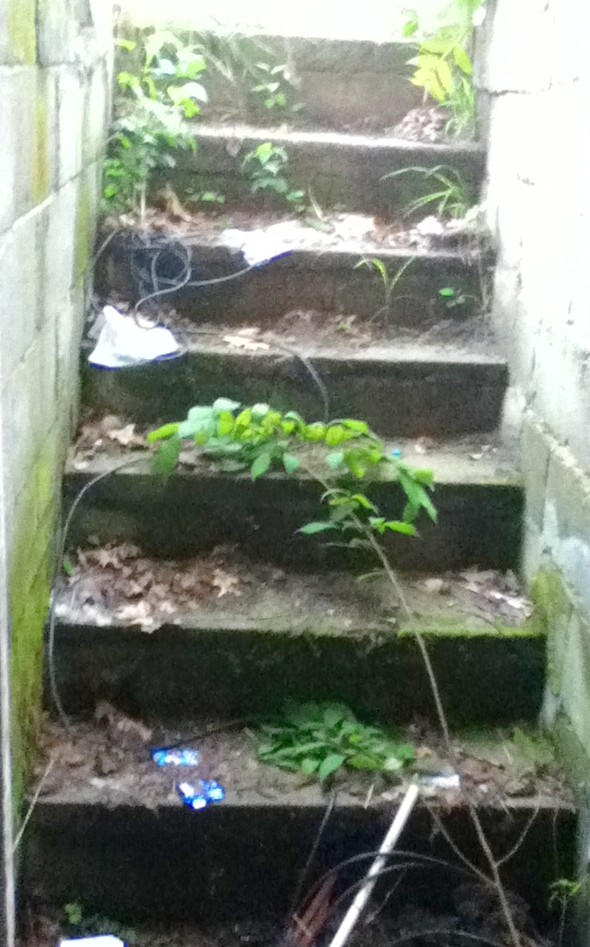 Steps By Arex Kun11 On Deviantart