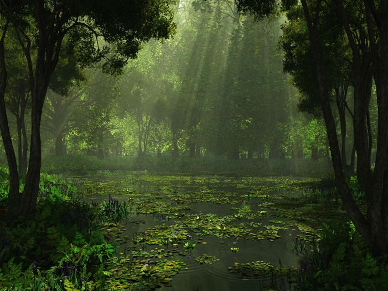 Confusing Route By Ladyschaefer On Deviantart