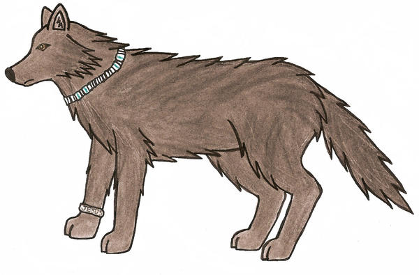 My Wolf Form by WildHusky318 on DeviantArt