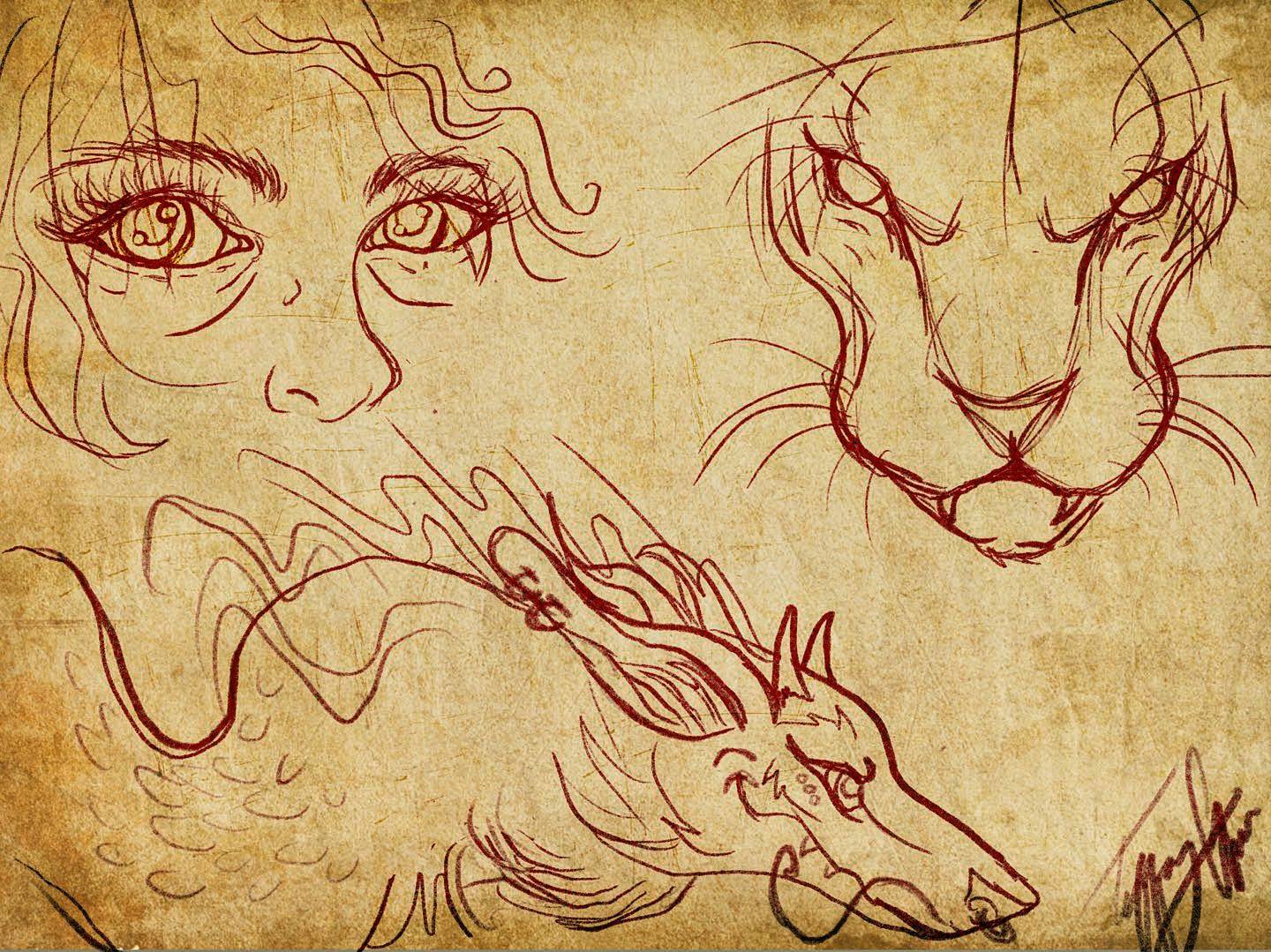 Procreate Doodles ~ By Affinitywing On Deviantart