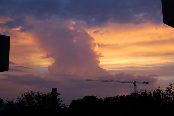 Mandarin Sunset by AlbusLupa on DeviantArt
