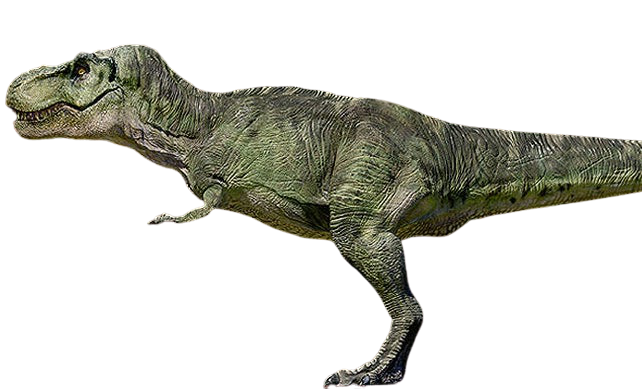 Jurassic Park Iii T Rex By Jakeysamra On Deviantart