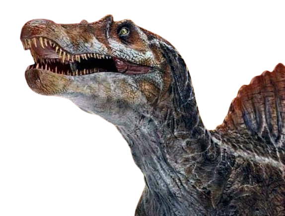 Jurassic Park Iii Spinosaurus Png 4 By Jakeysamra On Deviantart