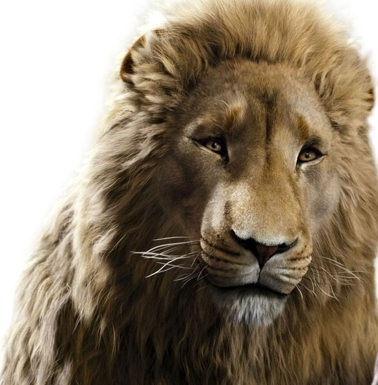 Aslan PNG by jakeysamra on DeviantArt Aslan PNG by jakeysamra on DeviantArt