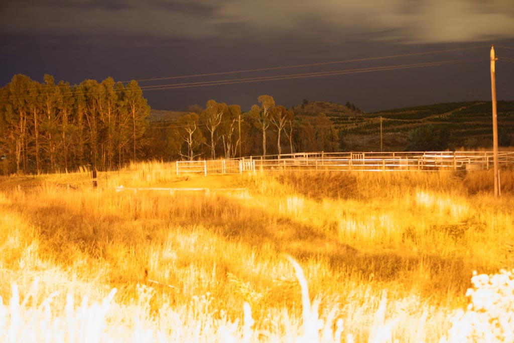 Surreal Fields by JST69 on DeviantArt