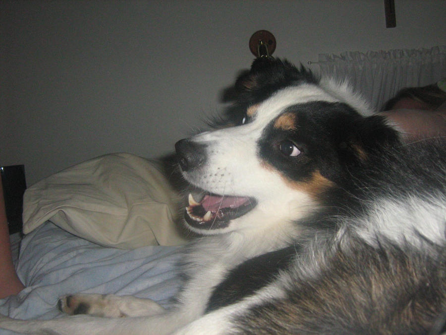 Hisssssss... by IcelandAnimeGirl on DeviantArt