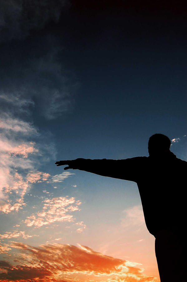 Fly back home by RealitaDidalam on DeviantArt