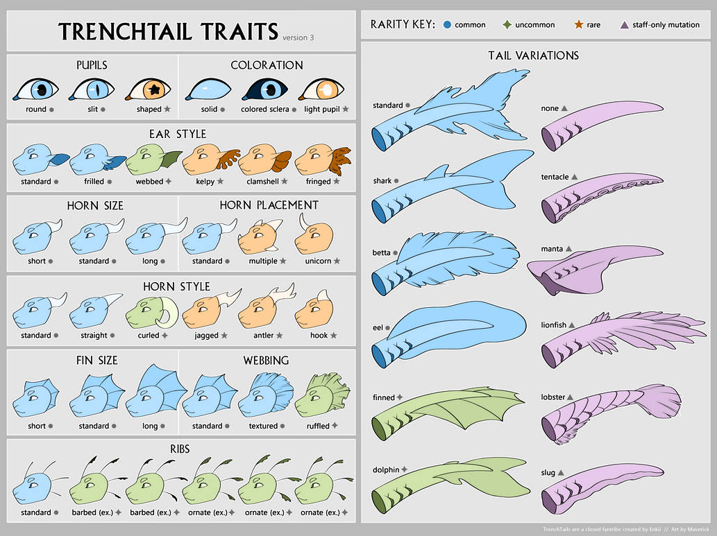 TrenchTail Traits (2023) by StudioMaverick on DeviantArt TrenchTail Traits (2023) by StudioMaverick on DeviantArt