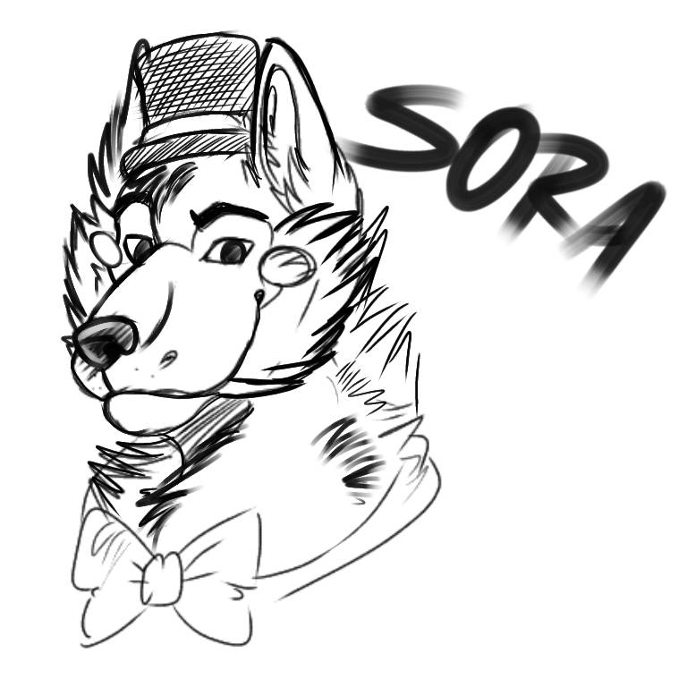 Sora Sketch By Leotigers Art On Deviantart