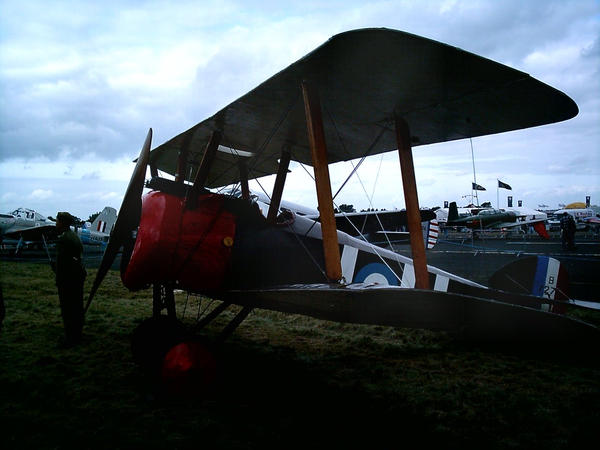 A Flying Camel? by Warhammer-Fanatic on DeviantArt