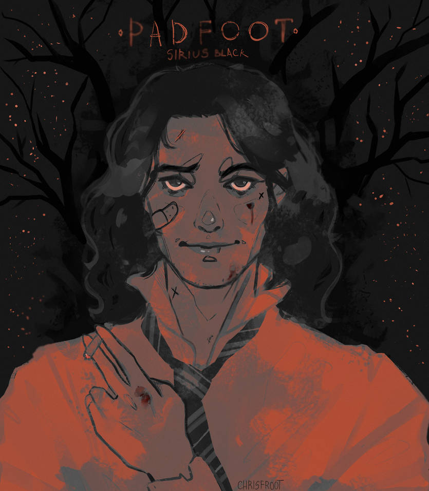 Padfoot Sirius Black By Chrisfrootart On Deviantart