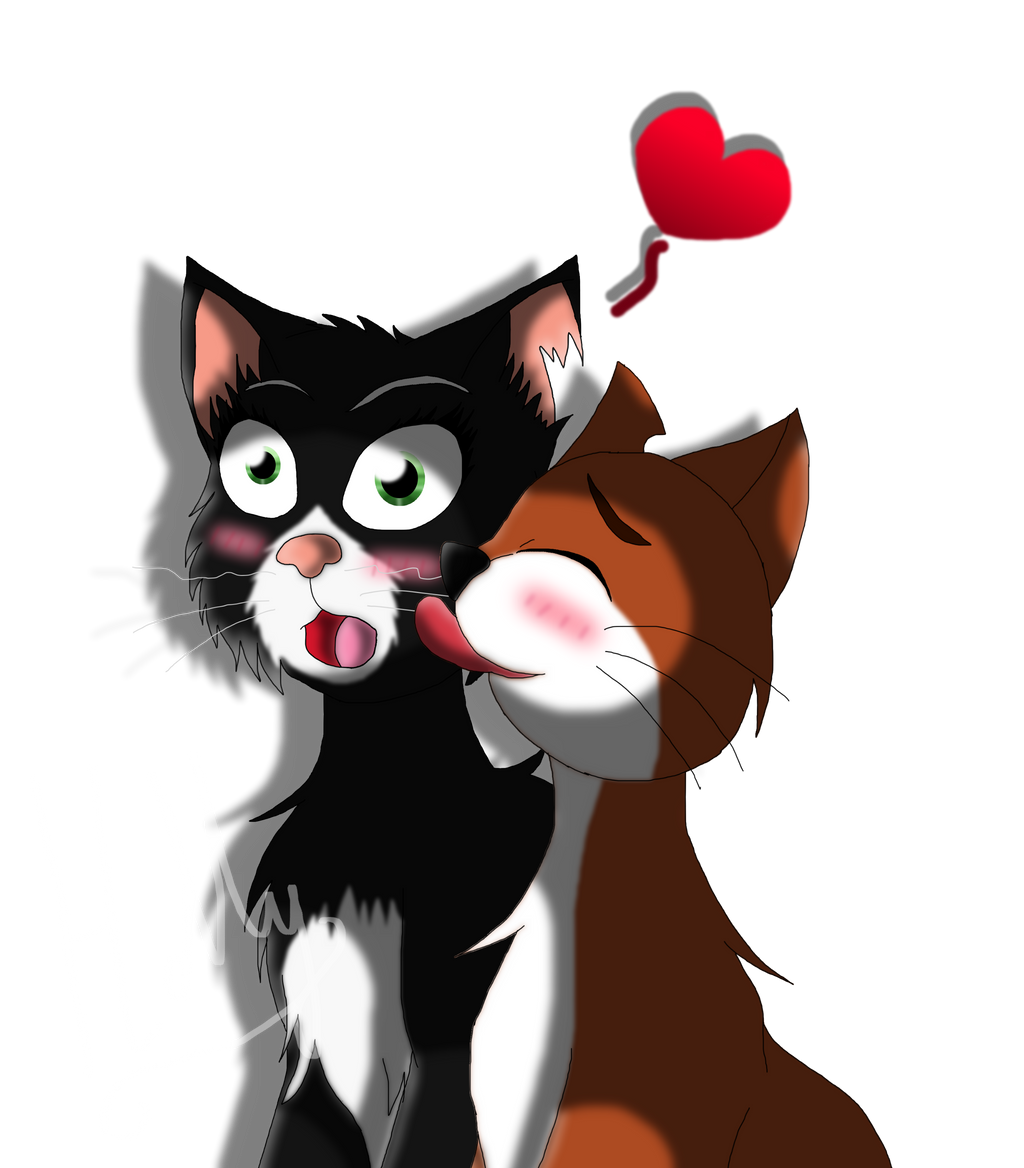 Kitty Love By Holly2001 On Deviantart