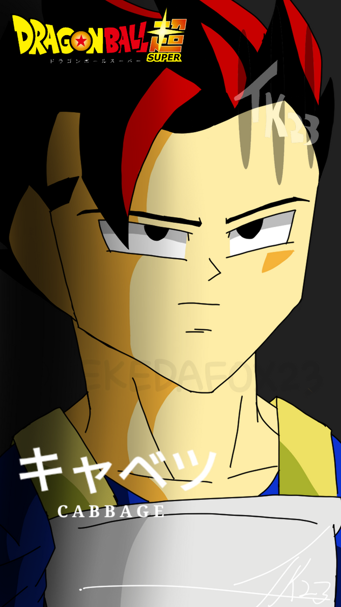 Dbs Saiyan Of Universe 6 By Tekedafox23 On Deviantart