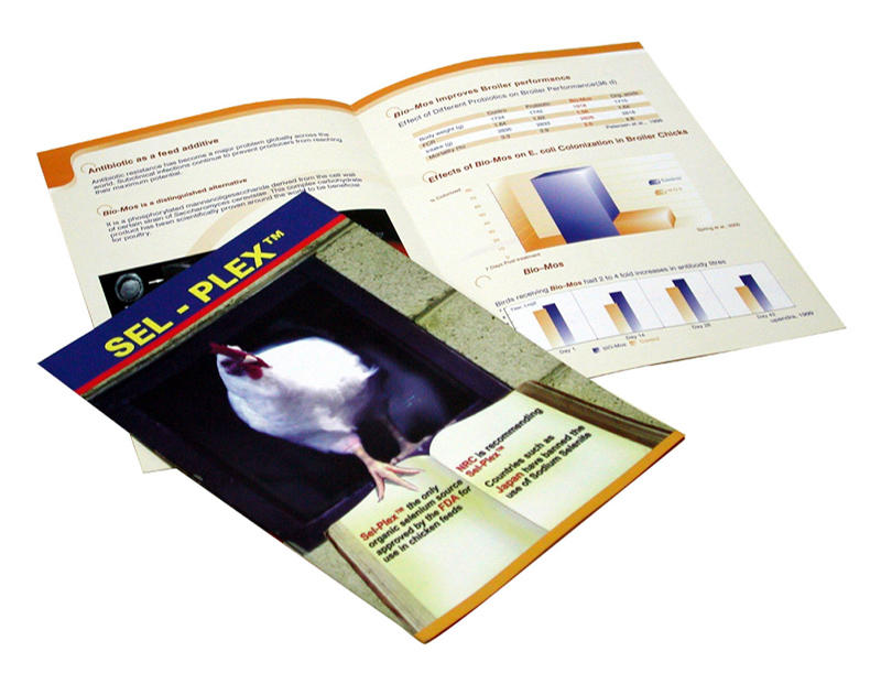 Sel-Plex by hesham on DeviantArt