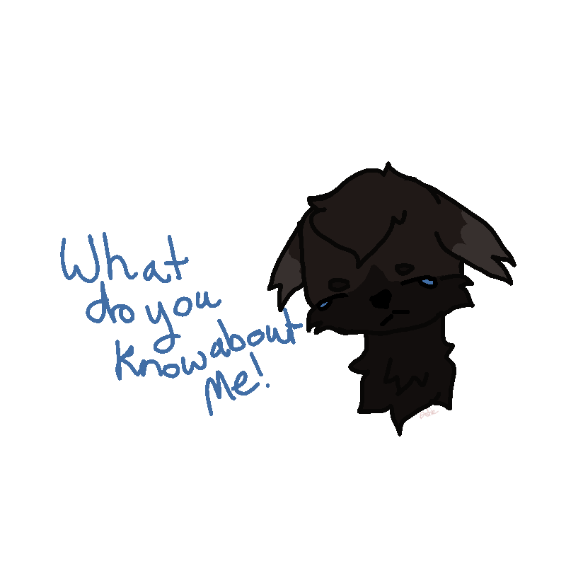 What Do You Know About Me By AshiePlaysArt On DeviantArt what-do-you-know-about-me-by-ashieplaysart-on-deviantart