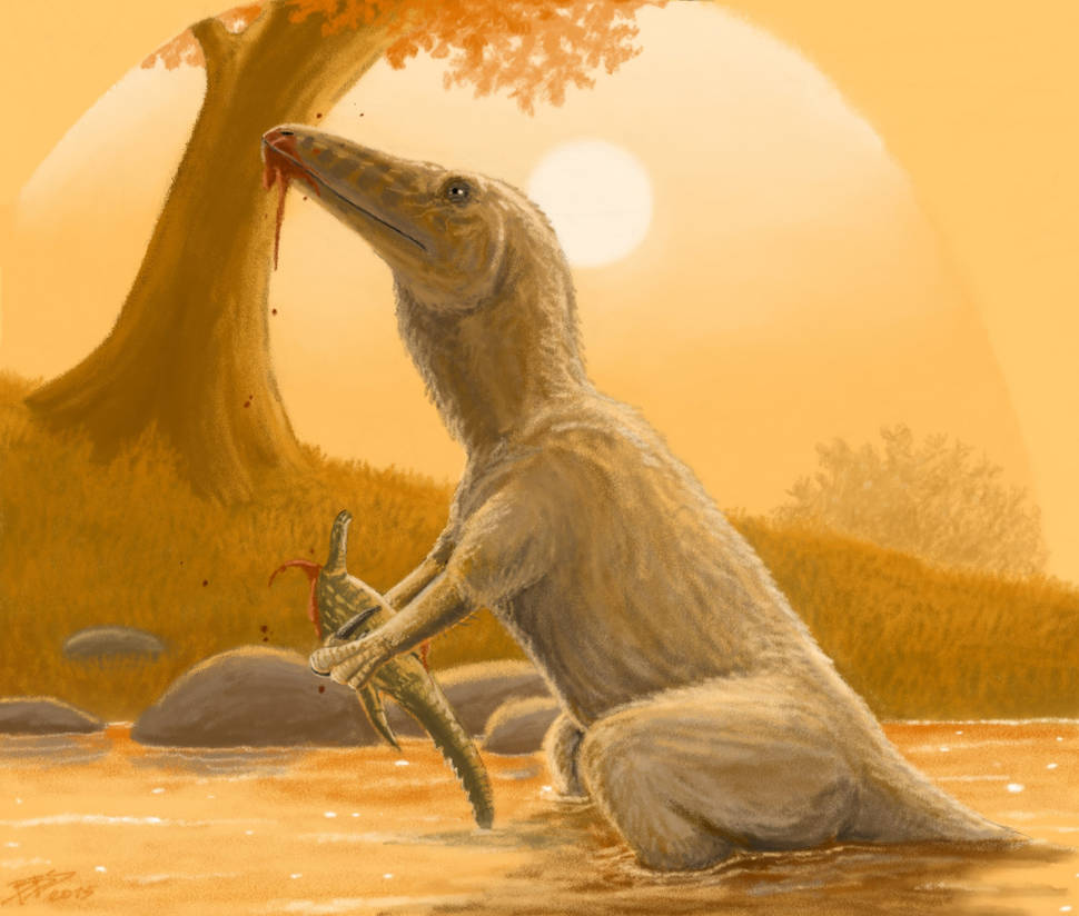 Megaraptor By Tnilab-ekneb121 On Deviantart