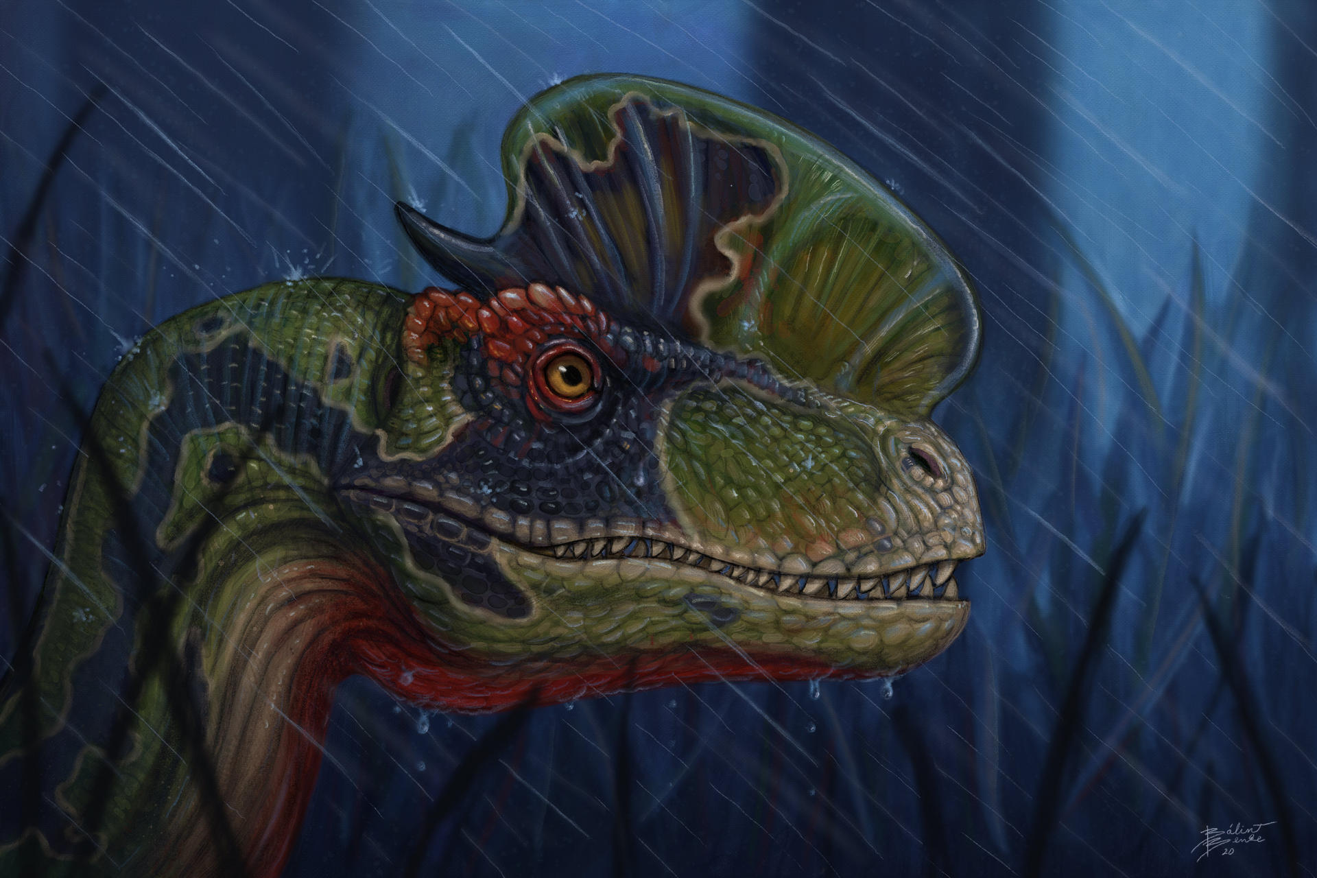 Jurassic Park Dilophosaurus By Tnilab Ekneb121 On Deviantart