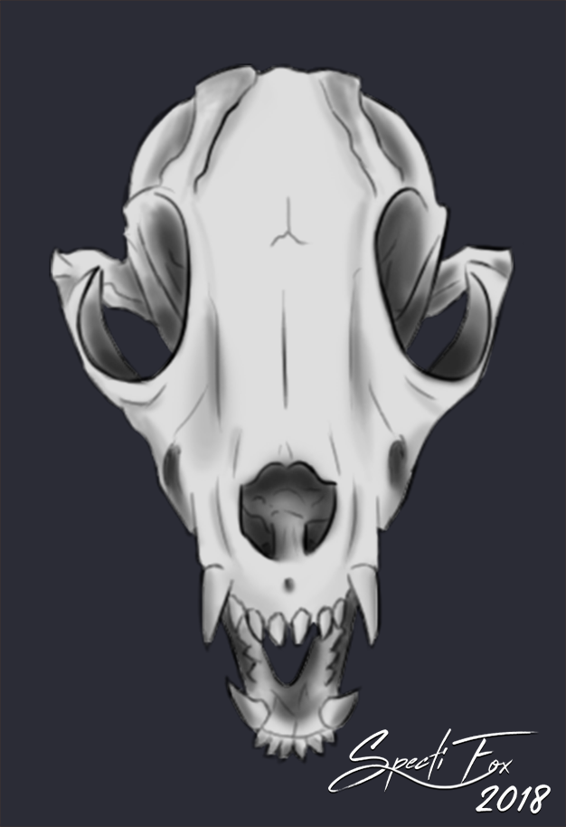 Fox Skull Front By Mr Specter Fox On Deviantart