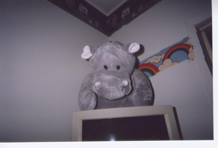 The hippo known as mortimer by rei-gone-mad on DeviantArt