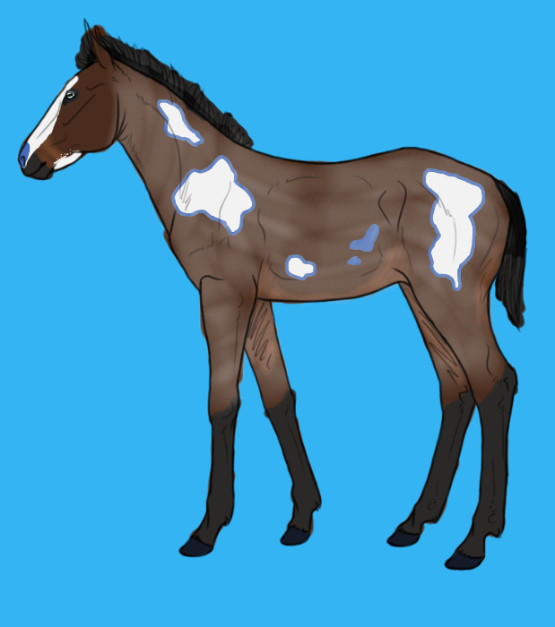 Foal Designs On SBWH Registry DeviantArt foal-designs-on-sbwh-registry-deviantart