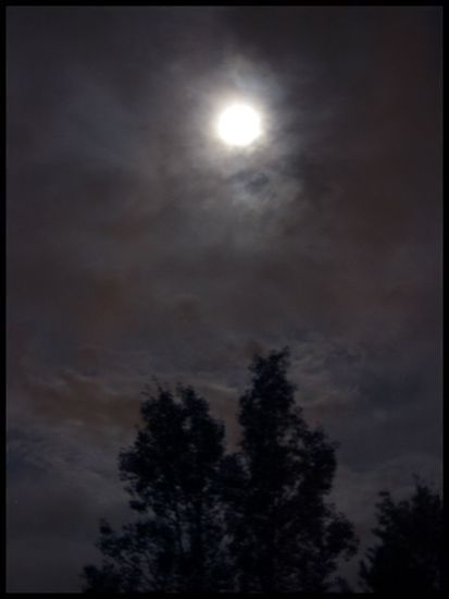 The Mad Moon by WinterSoulStudios on DeviantArt