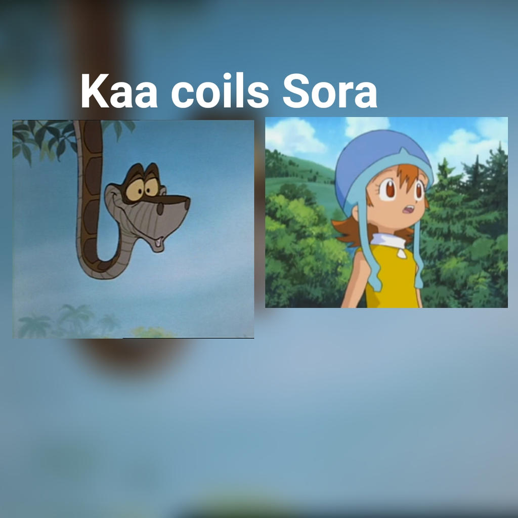 Kaa Coils Sora By Stonekieran07 On Deviantart