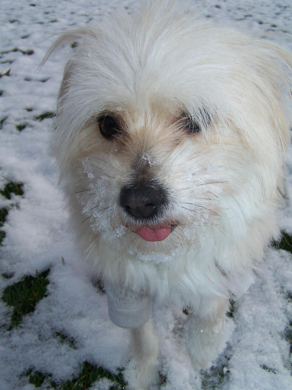 ick face by theycallmespitfire on DeviantArt