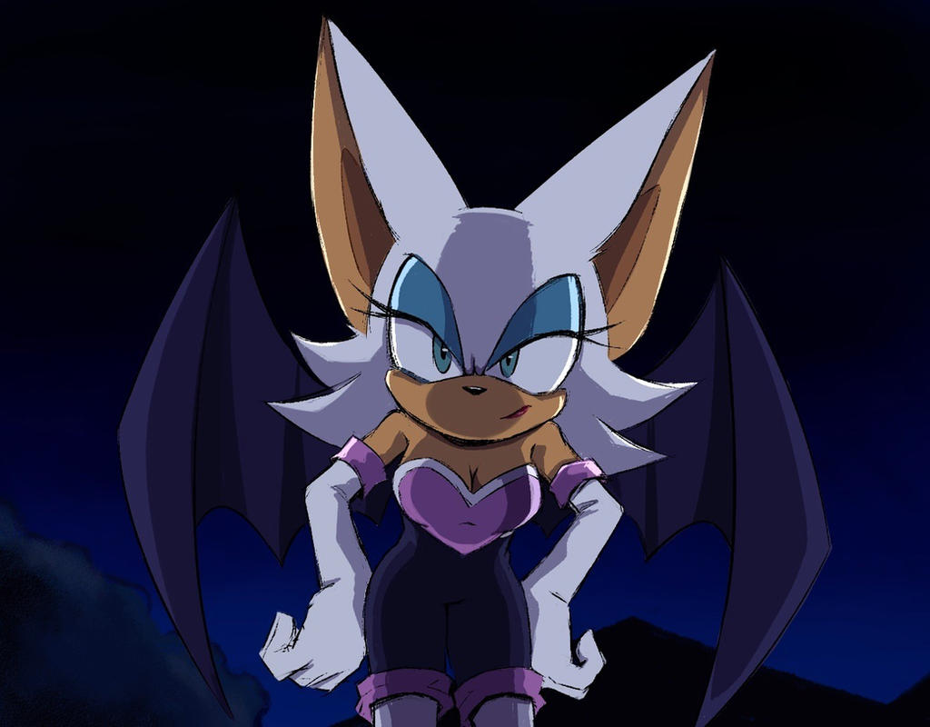 Sonic X Rouge By This Is An Error 14 On Deviantart