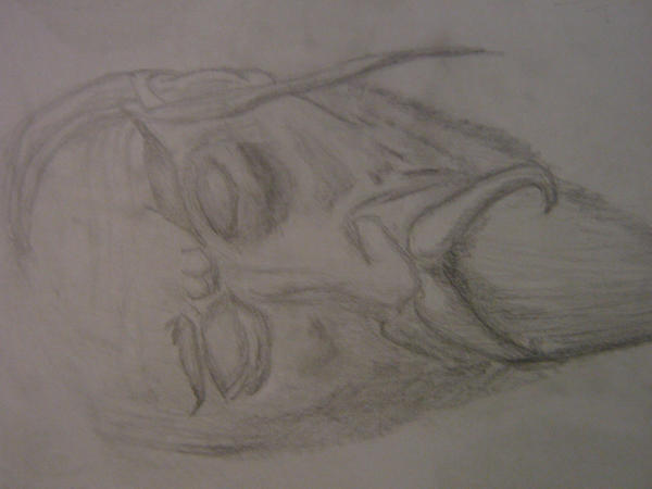 Pencil drawing wizardy WiP by MiKe---ZiLlA on DeviantArt Pencil drawing wizardy WiP by MiKe---ZiLlA on DeviantArt