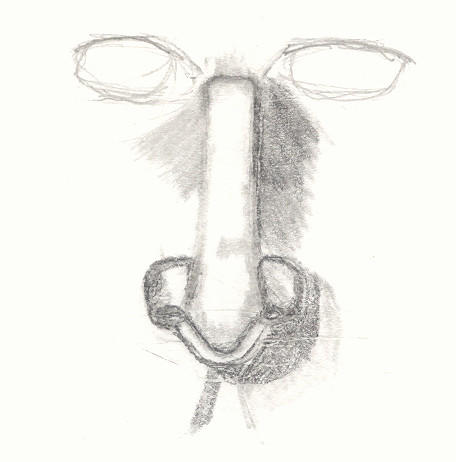 nose by SmaragdDrache20 on DeviantArt