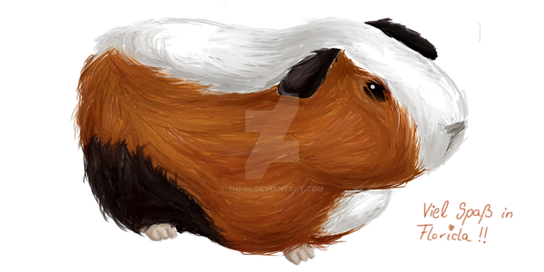 Hmpfh By Thfr4 On Deviantart