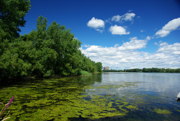 verdun beach :P by sonicsnapicture on DeviantArt