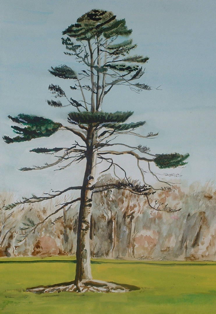 Tree 1 by ConPower on DeviantArt