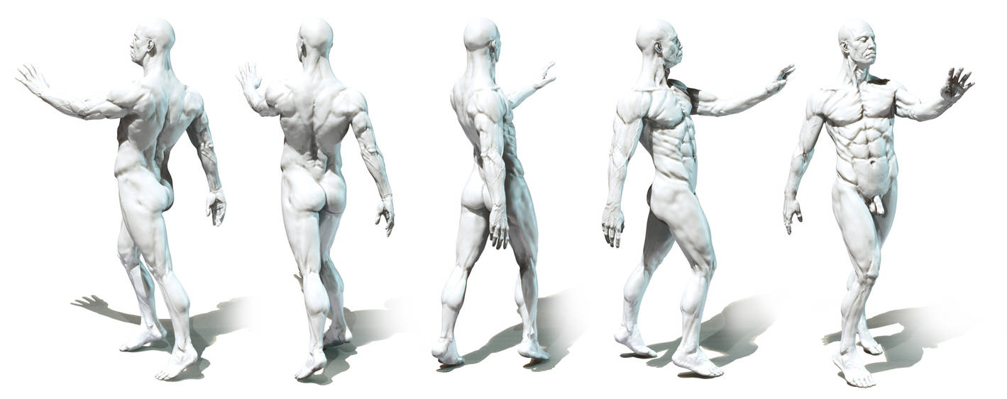 Anatomy study posing 1 by mojette on DeviantArt Anatomy study posing 1 by mojette on DeviantArt