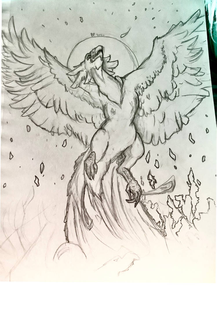 Rising Pheonix By Shadowhunter3613 On Deviantart