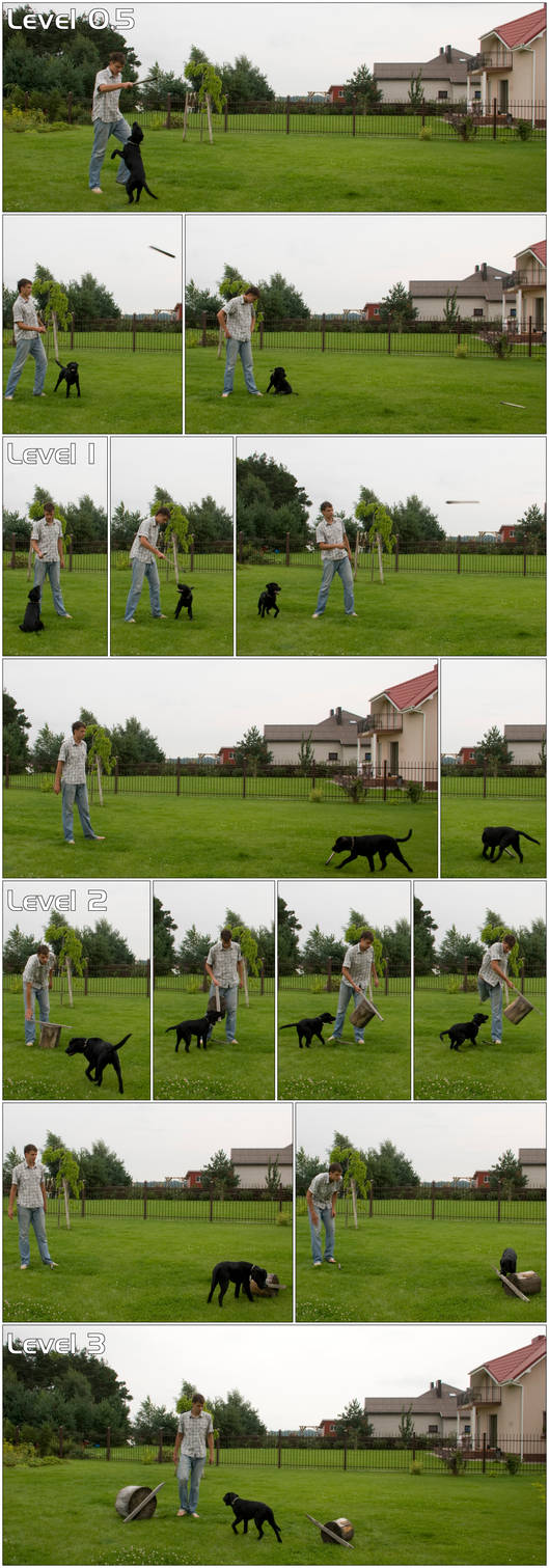 Levels Of Dog Training By Edmis On DeviantArt levels-of-dog-training-by-edmis-on-deviantart