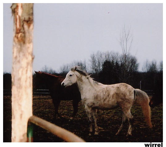 Dirty Wind by wirrel on DeviantArt