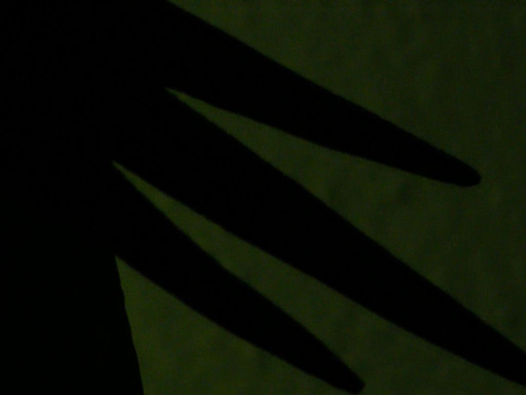 Three spikes by Alexs1sis on DeviantArt