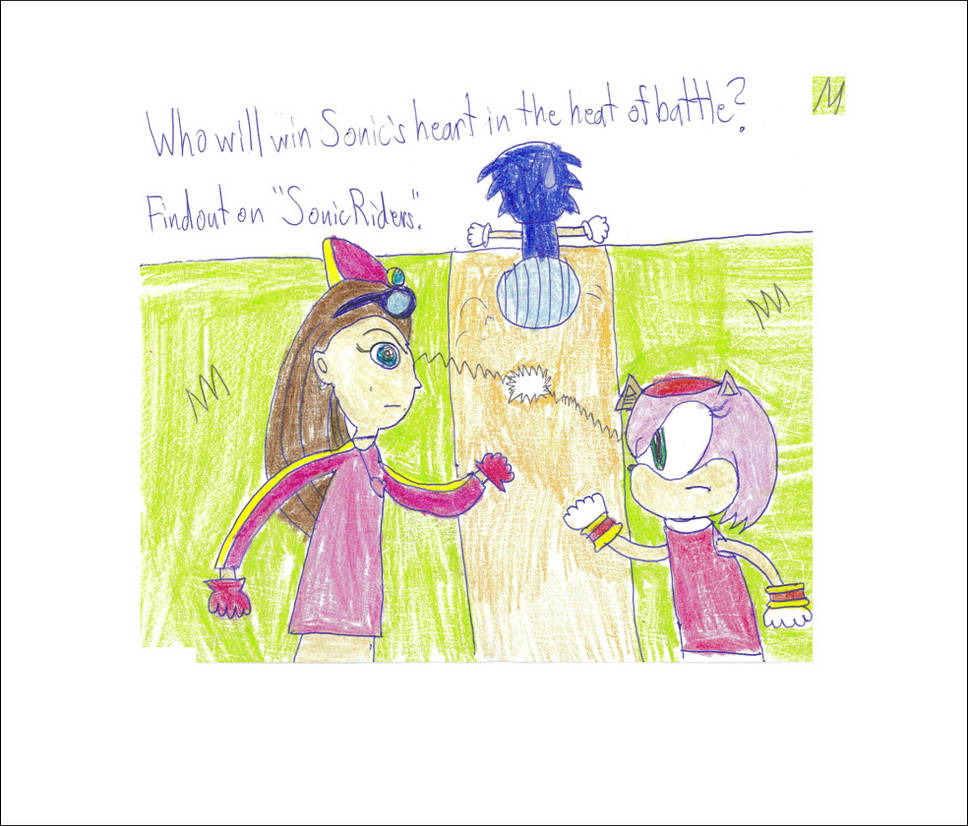 Sara VS Amy Rose by ShegoXP on DeviantArt