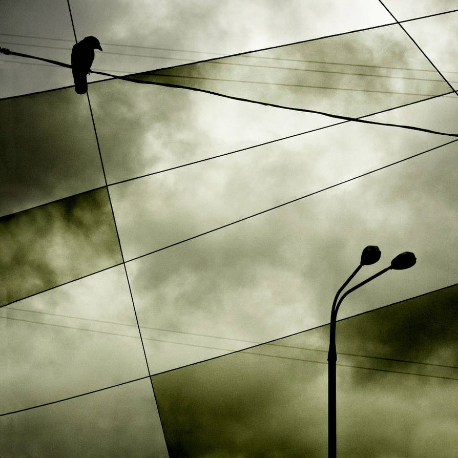Fluxions by Sociologas on DeviantArt