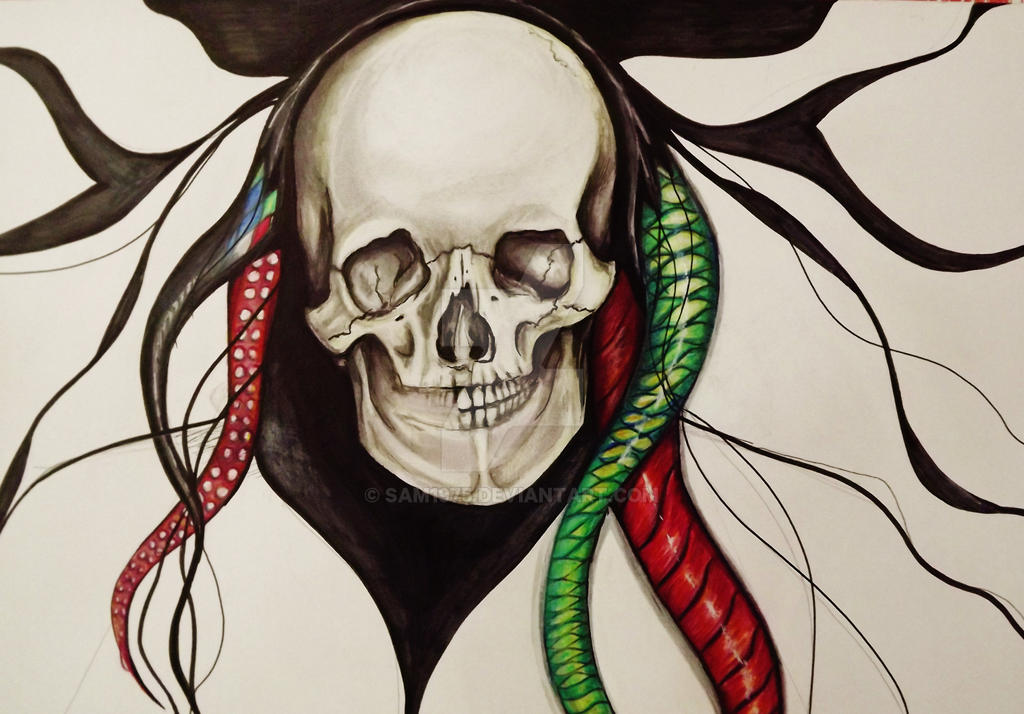 skull - pen coloured pencil by Sam1975 on DeviantArt skull - pen coloured pencil by Sam1975 on DeviantArt