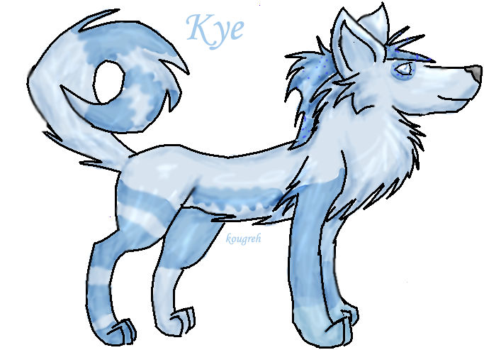 Kye by kougra-fan93 on DeviantArt