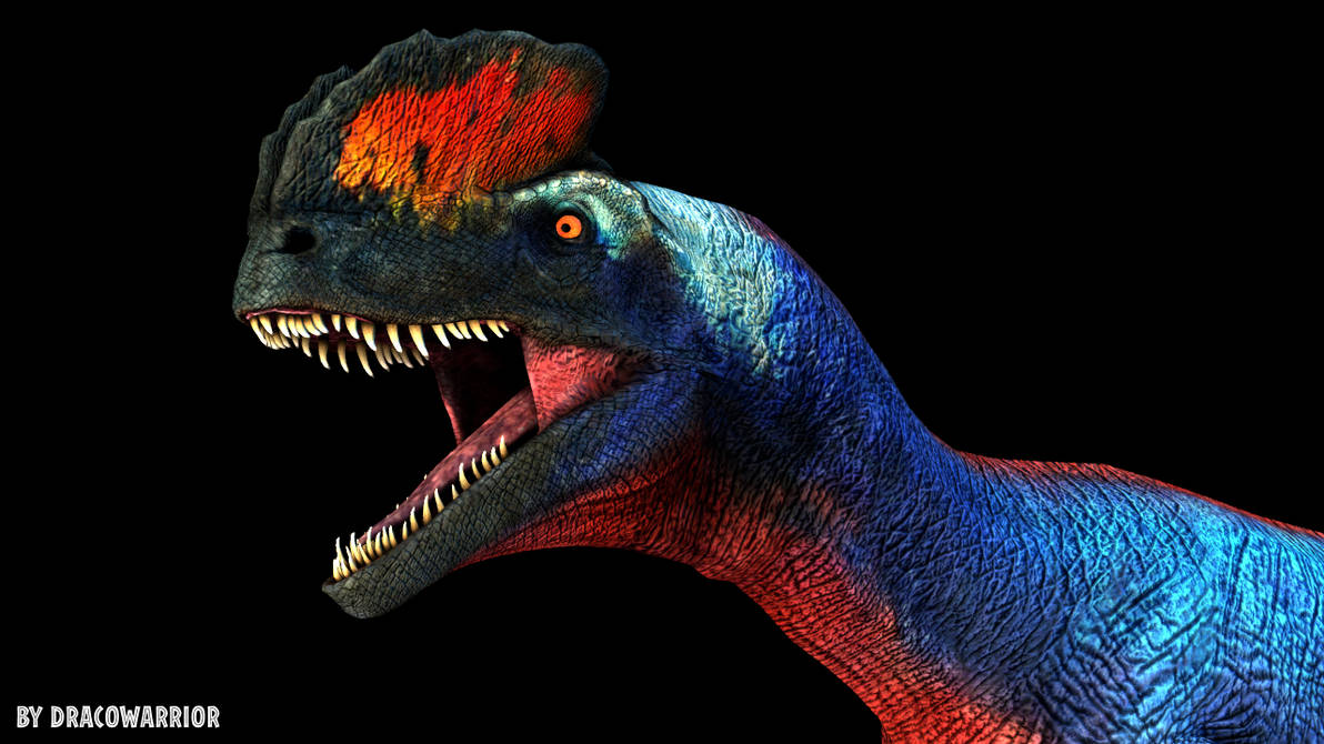 Cassowary Dilophosaurus Render 01 by DracoKhajiit on DeviantArt Cassowary Dilophosaurus Render 01 by DracoKhajiit on DeviantArt