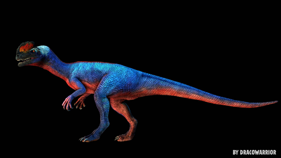 Cassowary Dilophosaurus Render 06 by DracoKhajiit on DeviantArt Cassowary Dilophosaurus Render 06 by DracoKhajiit on DeviantArt