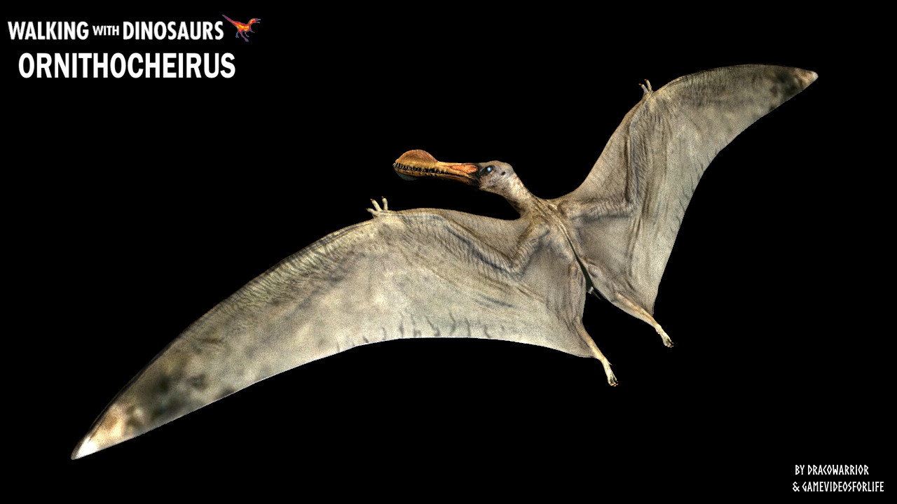 Walking With Dinosaurs Ornithocheirus Render 03 By DracoKhajiit On walking-with-dinosaurs-ornithocheirus-render-03-by-dracokhajiit-on
