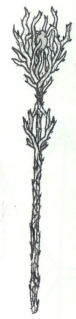 Egg of Shadow Staff by seasonofclarity on DeviantArt